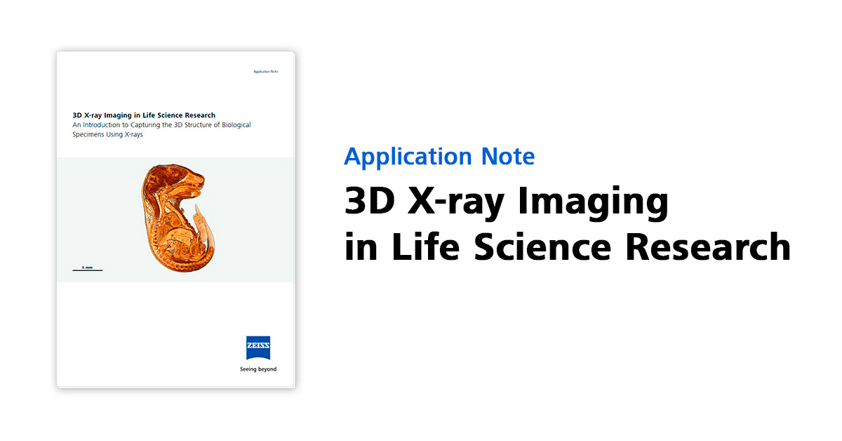 3D X-ray Imaging | Application Note